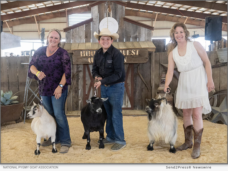 American Pygmy Goat Champions Crowned at 2025 National Convention ...
